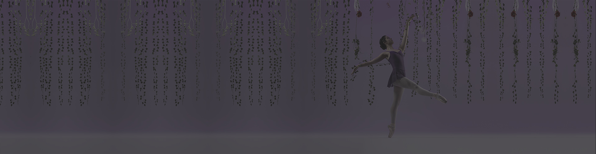 Vision | The Austin Dance Conservatory